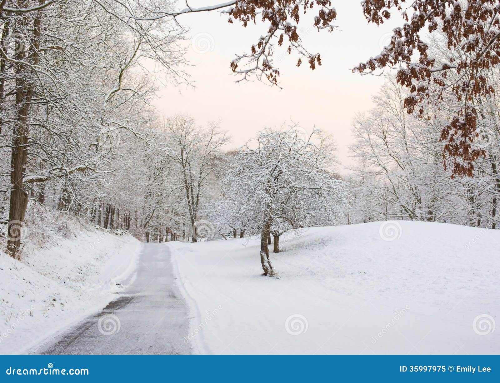 Snow Covered Driveway stock image. Image of scape, country - 35997975