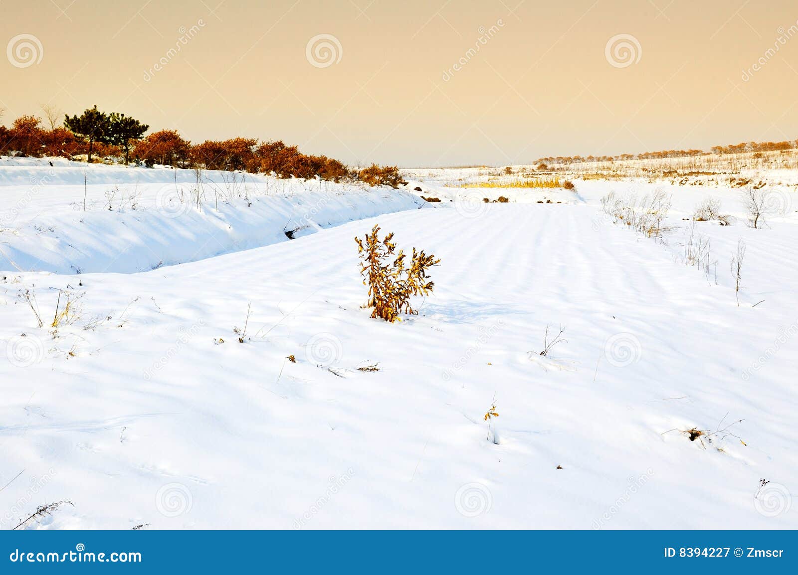 Snow-covered farm stock image. Image of shandong, snow - 8394227