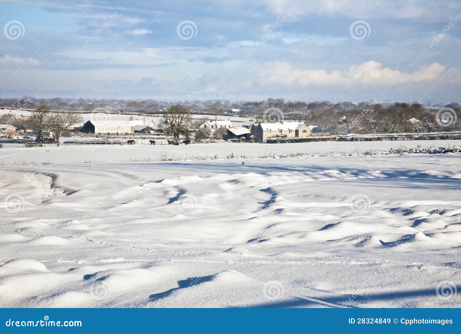 Snow covered farmland stock image. Image of trees, frozen - 28324849