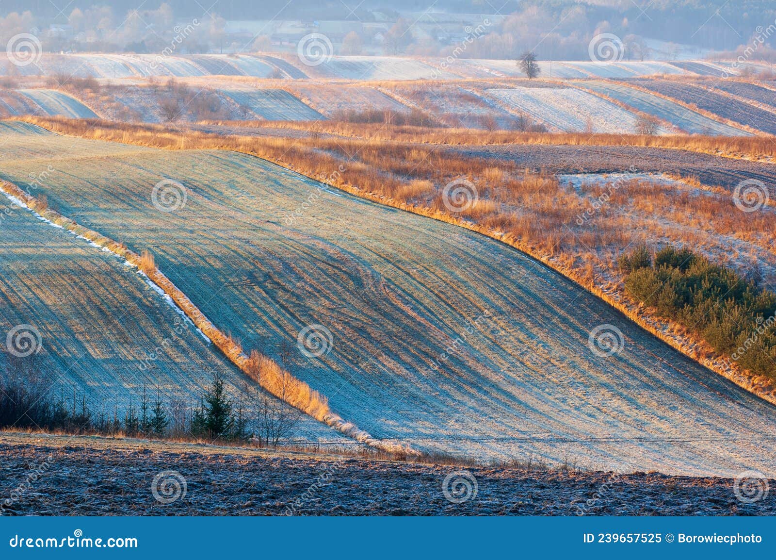 Snow-covered Farmland. Poland Stock Image - Image of nature, island ...