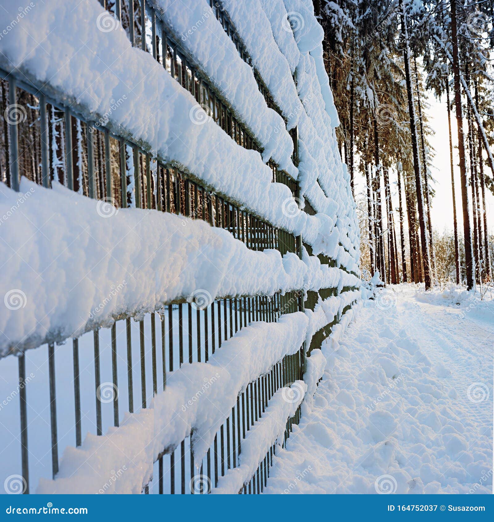 Snow Covered Fence in the Winter Forest Stock Image - Image of outdoor ...