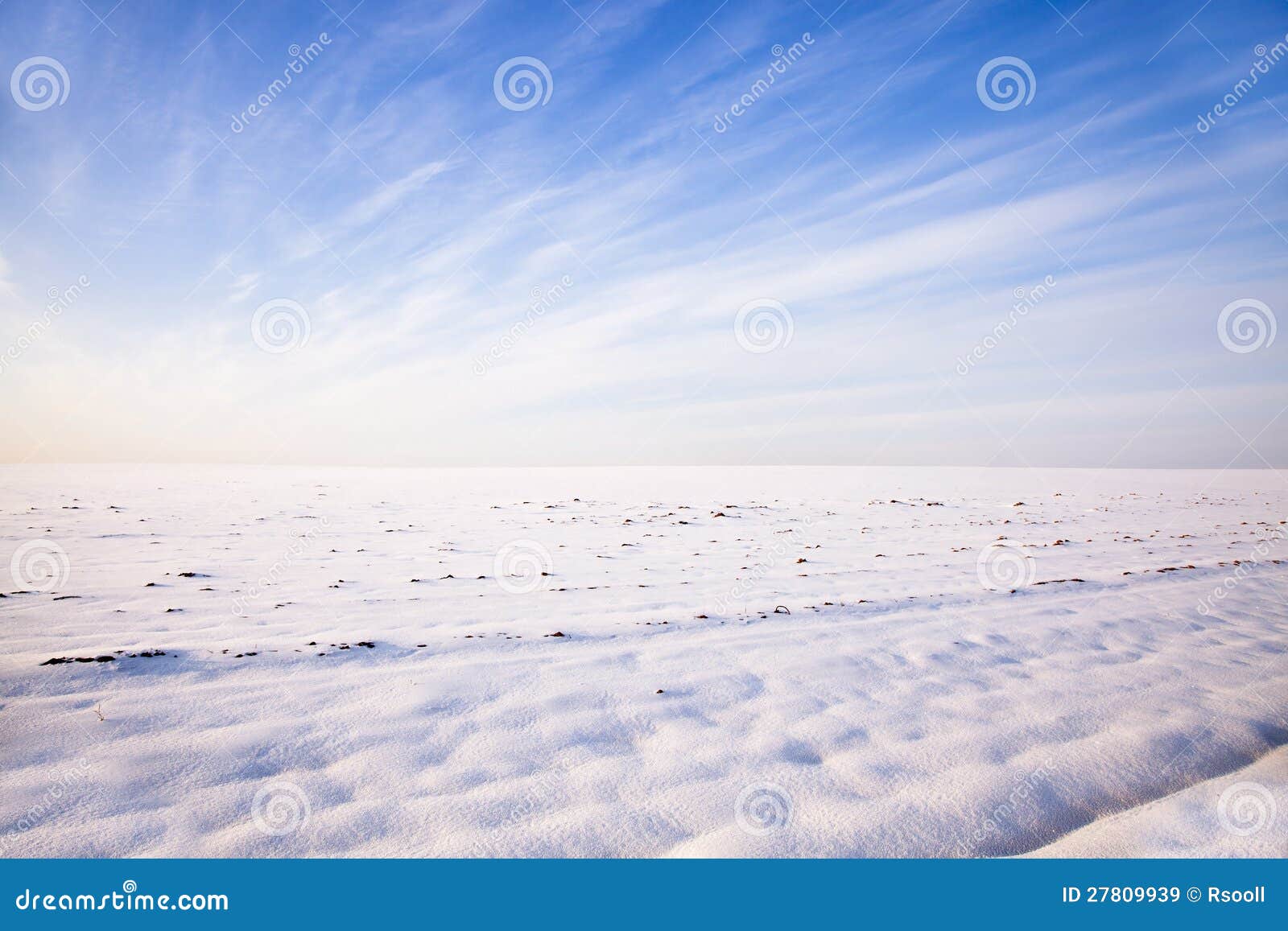 Snow-covered field stock image. Image of color, coldness - 27809939