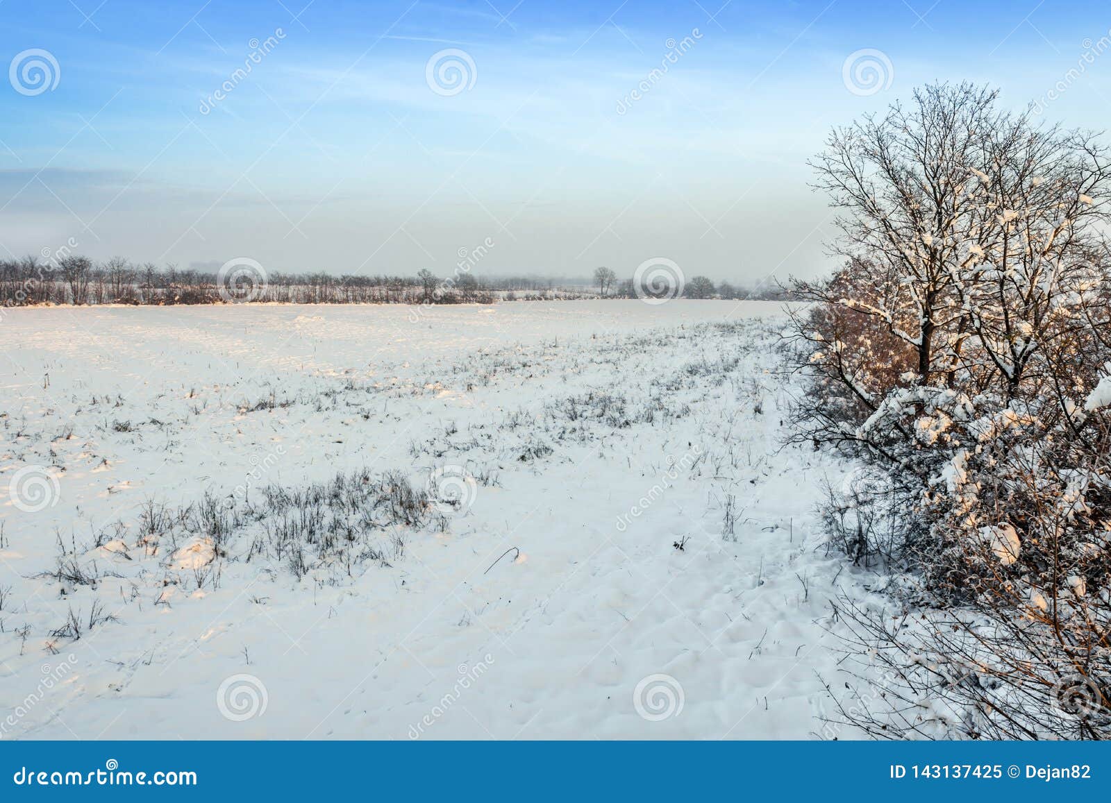 Snow-covered Field and Blue Sky Stock Image - Image of outdoor ...