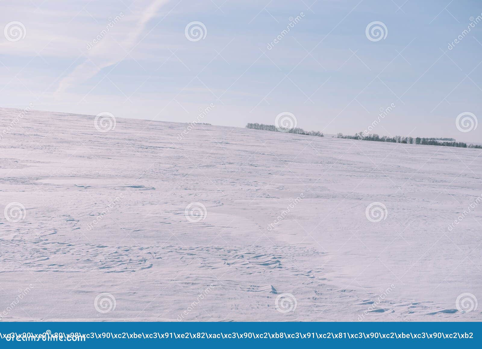 Snow-covered Field. the General Plan in the Winter Stock Photo - Image ...