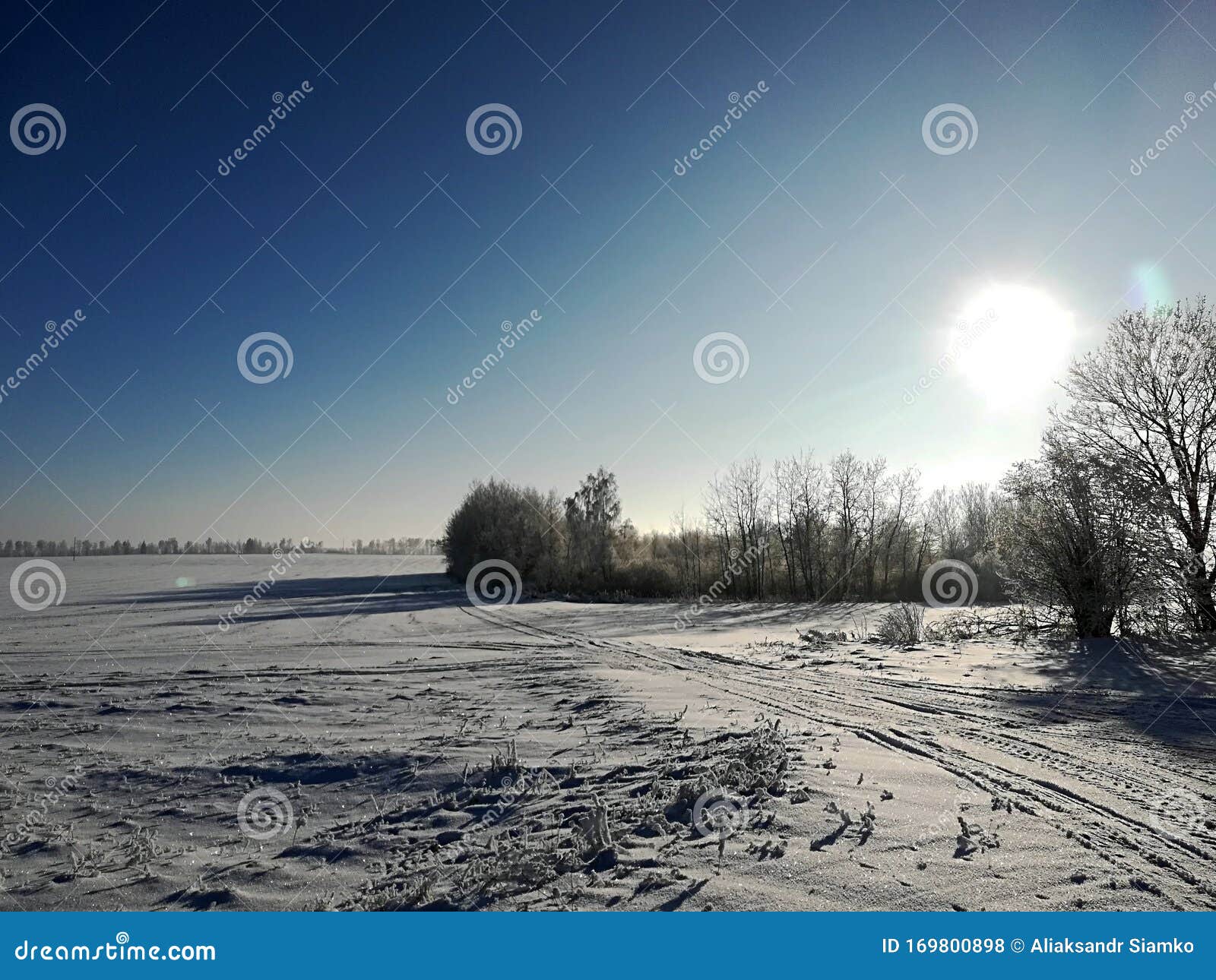 Snow Covered Field on a Sunny Winter Day Stock Photo - Image of ...