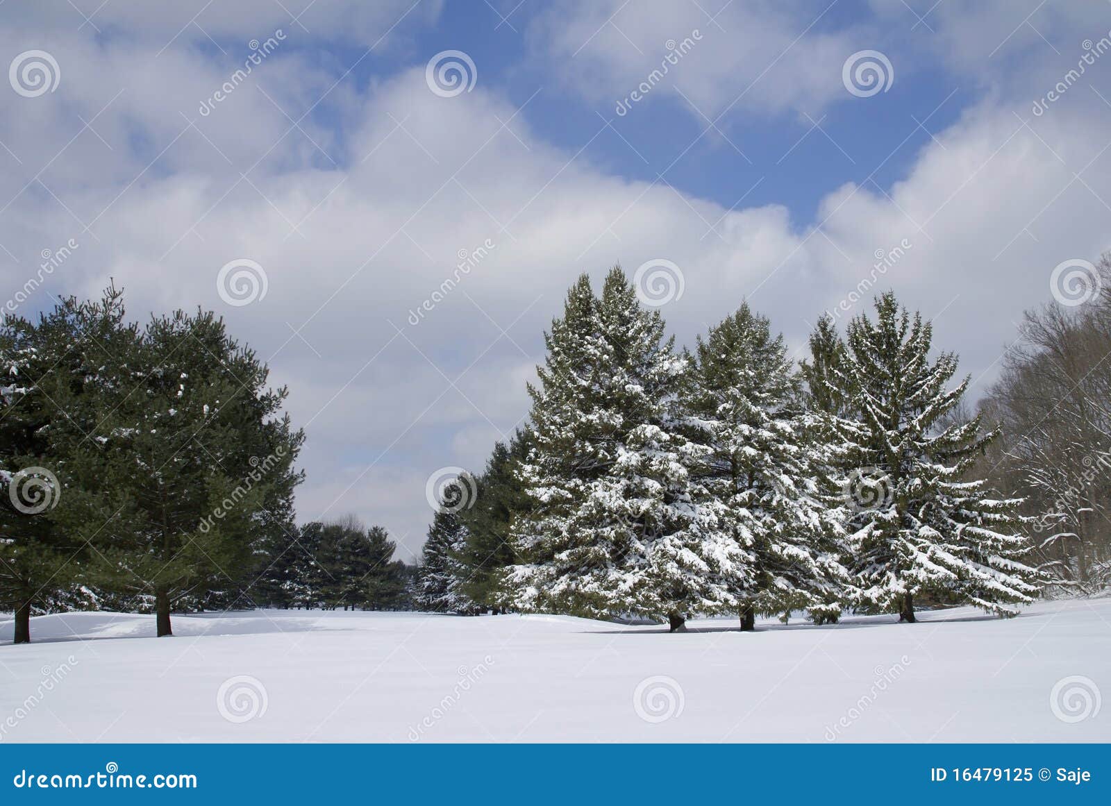 Snow Covered Field and Trees Stock Image - Image of clouds, snow: 16479125
