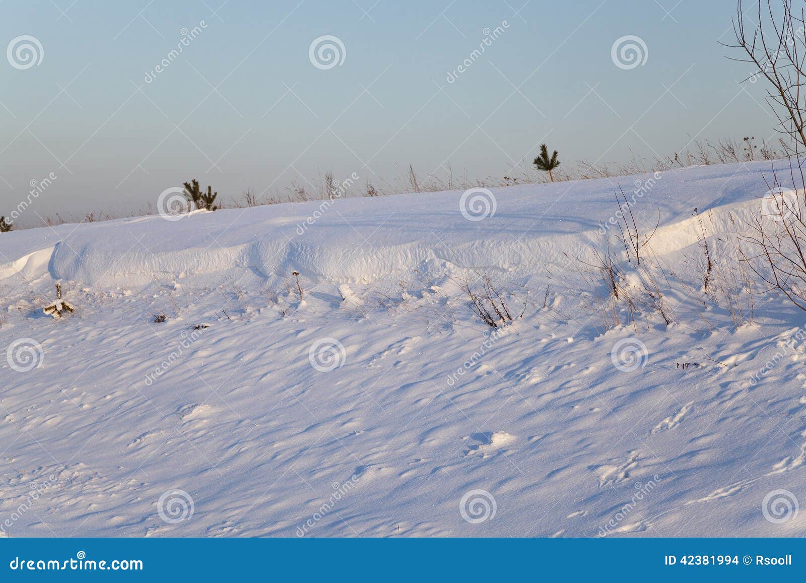 Snow-covered field stock photo. Image of landscape, field - 42381994
