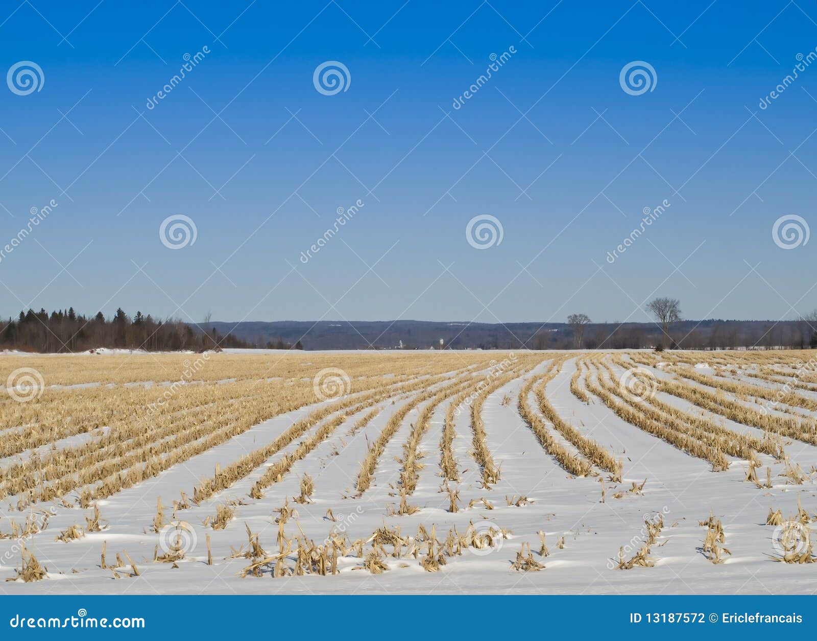 Snow Covered Field in Winter Stock Photo - Image of frost, landscape ...