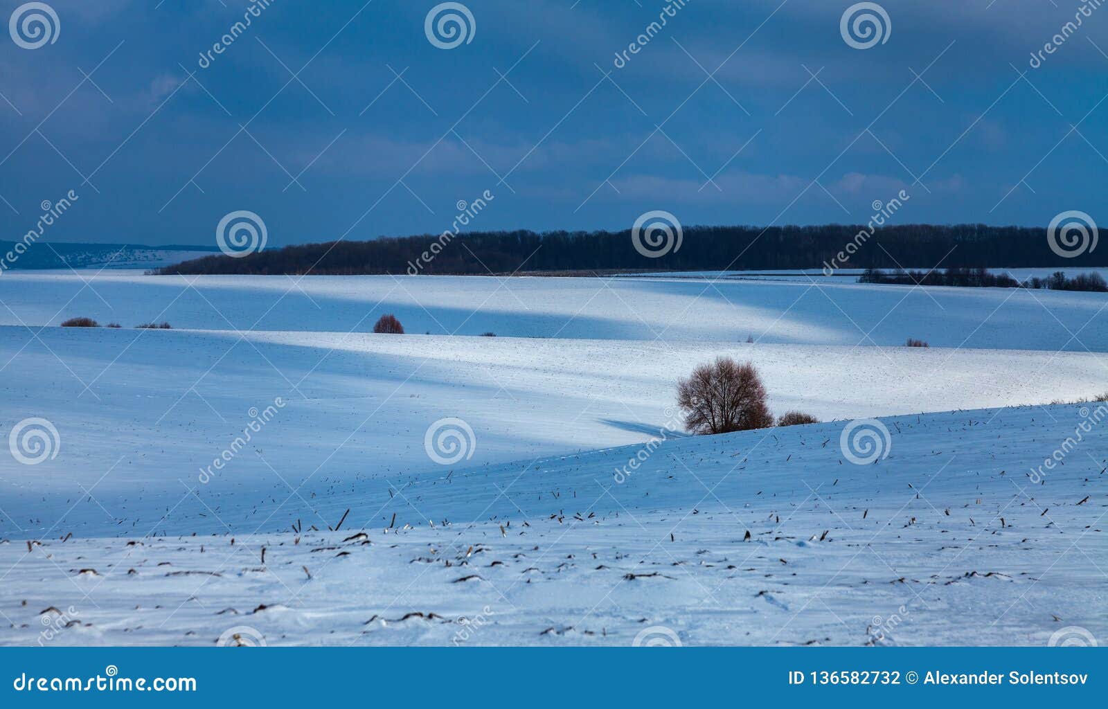 Snow-covered fields stock photo. Image of snowy, tranquil - 136582732