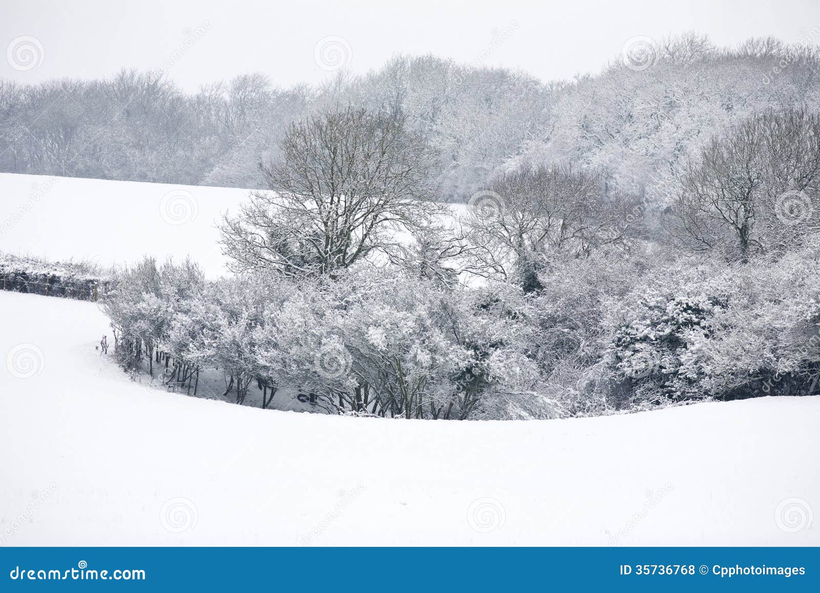 Snow covered fields stock photo. Image of cold, snowfall - 35736768