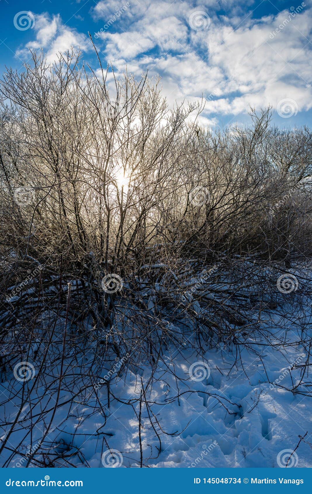 Snow Covered Fields in Winter Countryside Stock Photo - Image of scenic ...