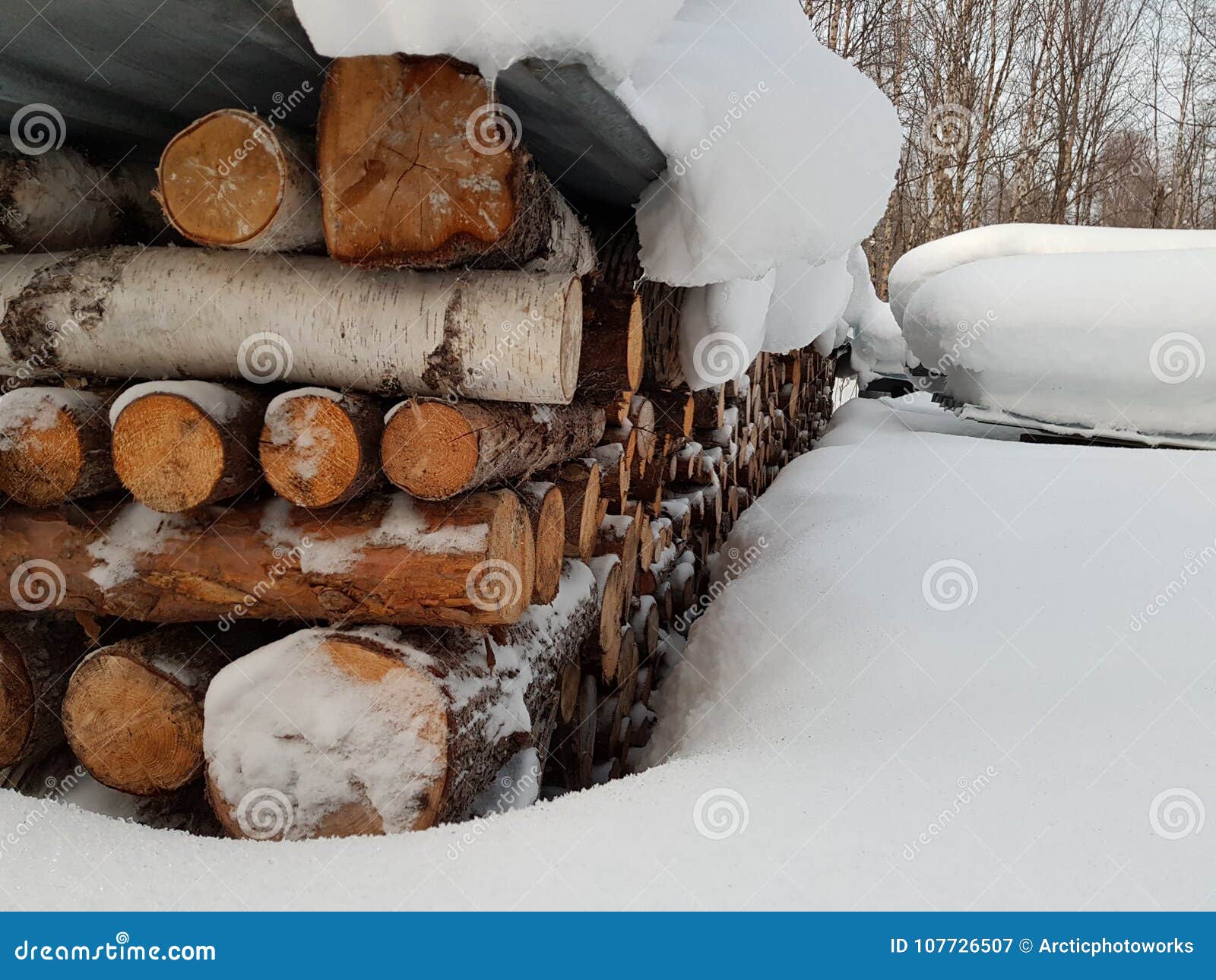 Snow Covered Firewood Stacks Outside in the Cold Arctic Circle ...