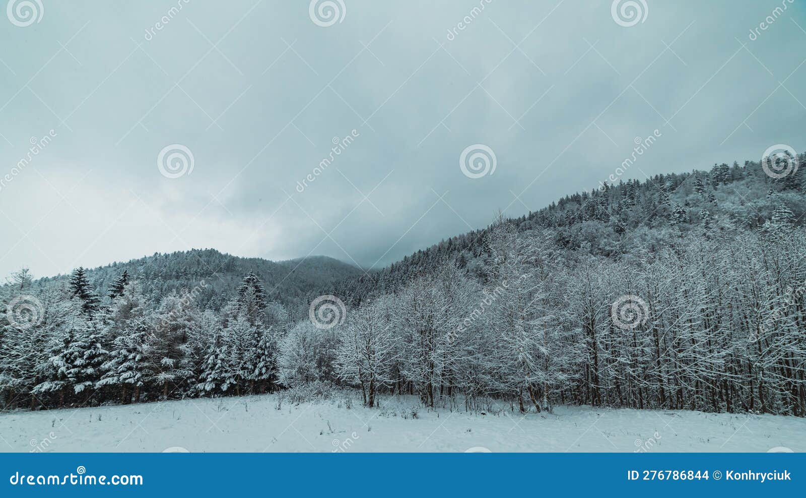 Snow-covered Forest in the Overcast Mountains Stock Photo - Image of ...
