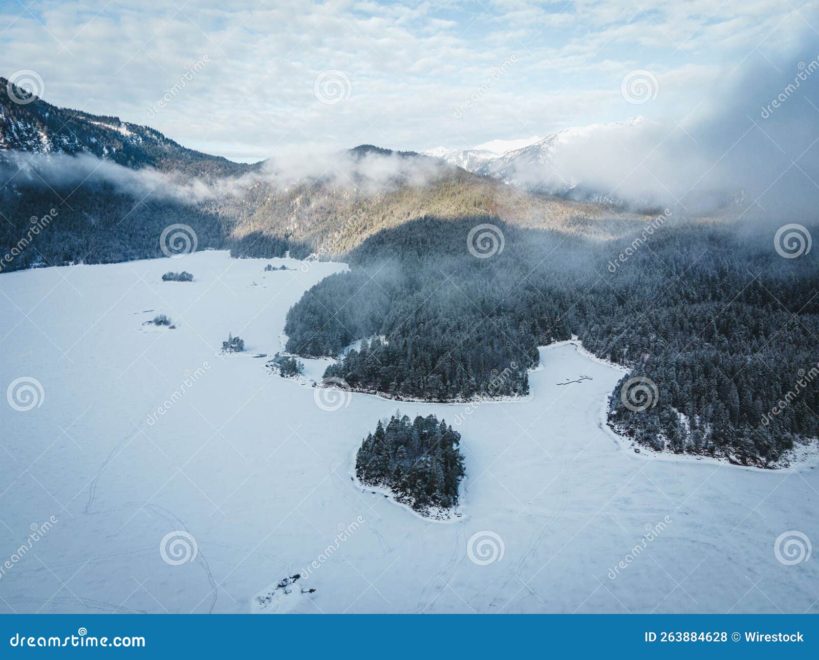 Snow Covered Forest Surrounded by Dense Trees Stock Photo - Image of ...