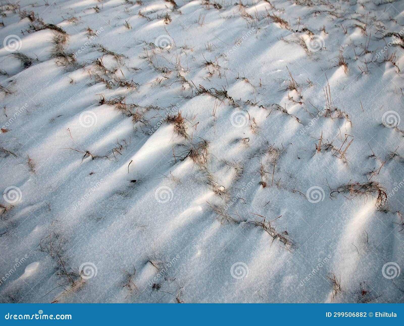 Snow Covered Grass in Field Stock Photo - Image of texture, snowy ...