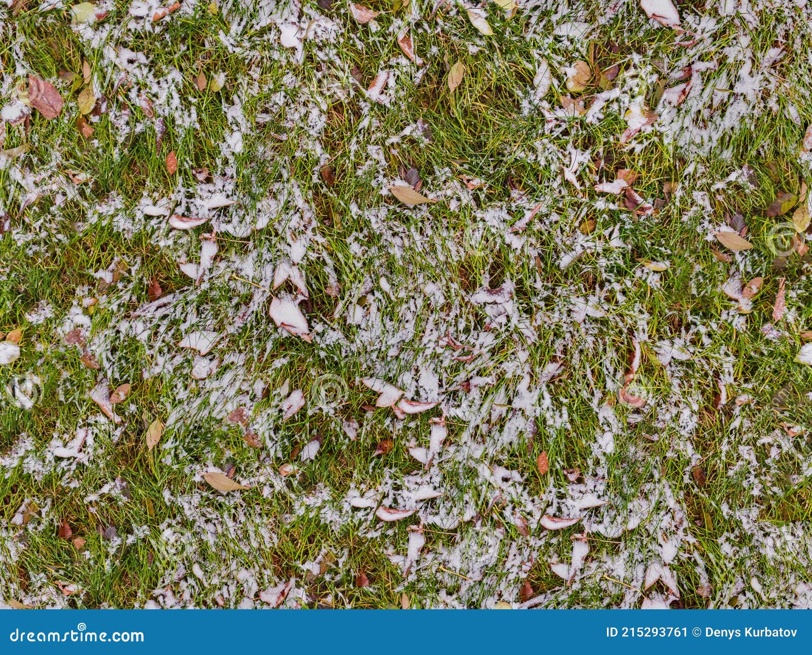 Snow covered grass stock image. Image of grass, ground - 215293761