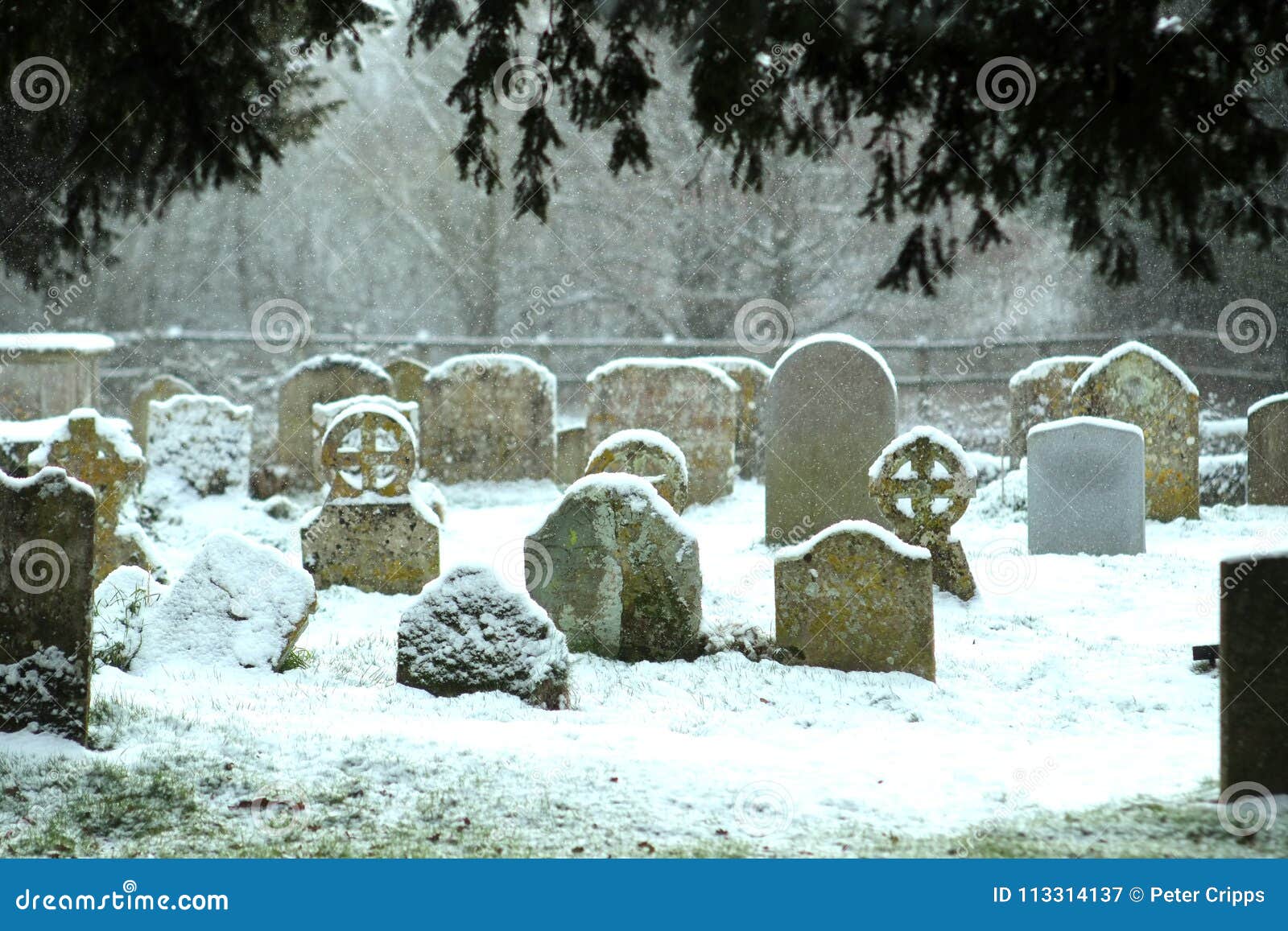 Snowy graves stock image. Image of snow, graves, weather - 113314137