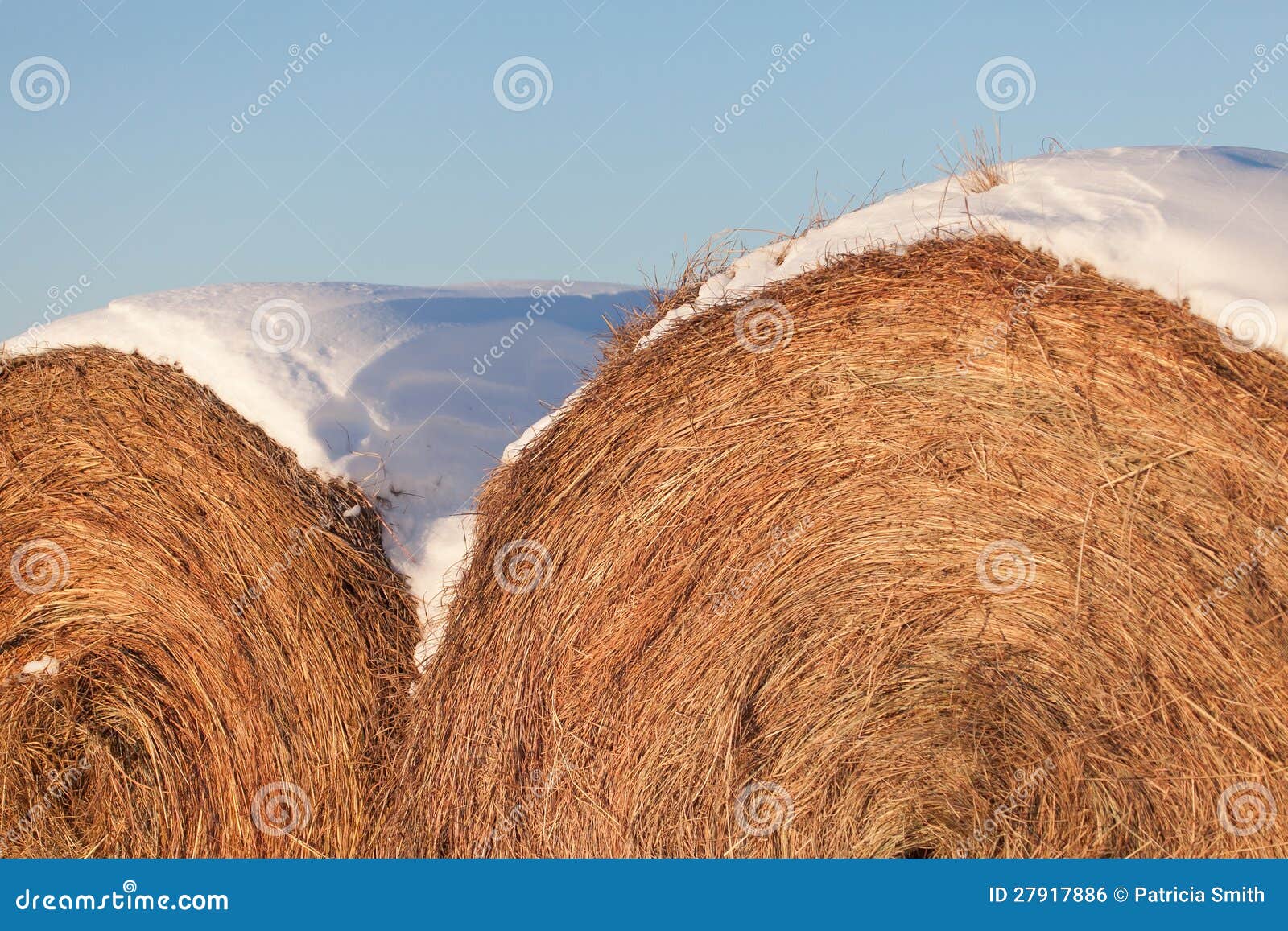 Snow-covered hay bales stock photo. Image of brome, meadow - 27917886