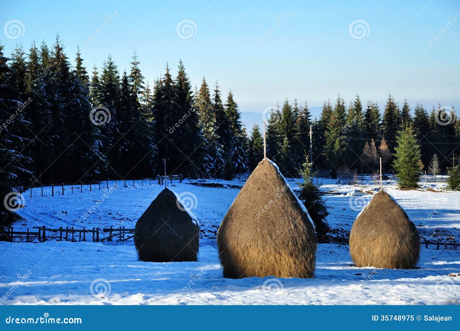Snow Covered Haystacks at Winter Stock Image - Image of farming, sunny ...