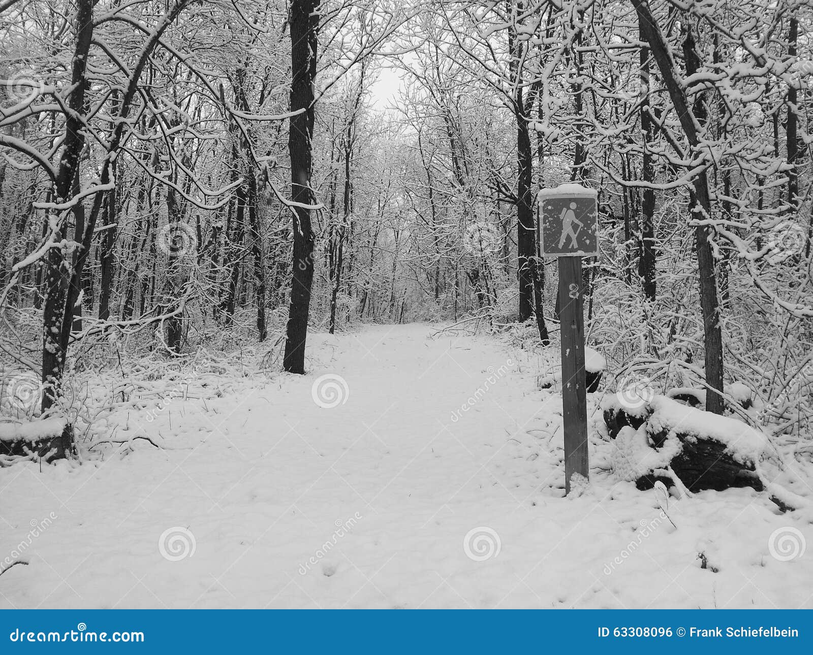 Snow Covered Hiking Trail in Forest Stock Photo - Image of walking ...