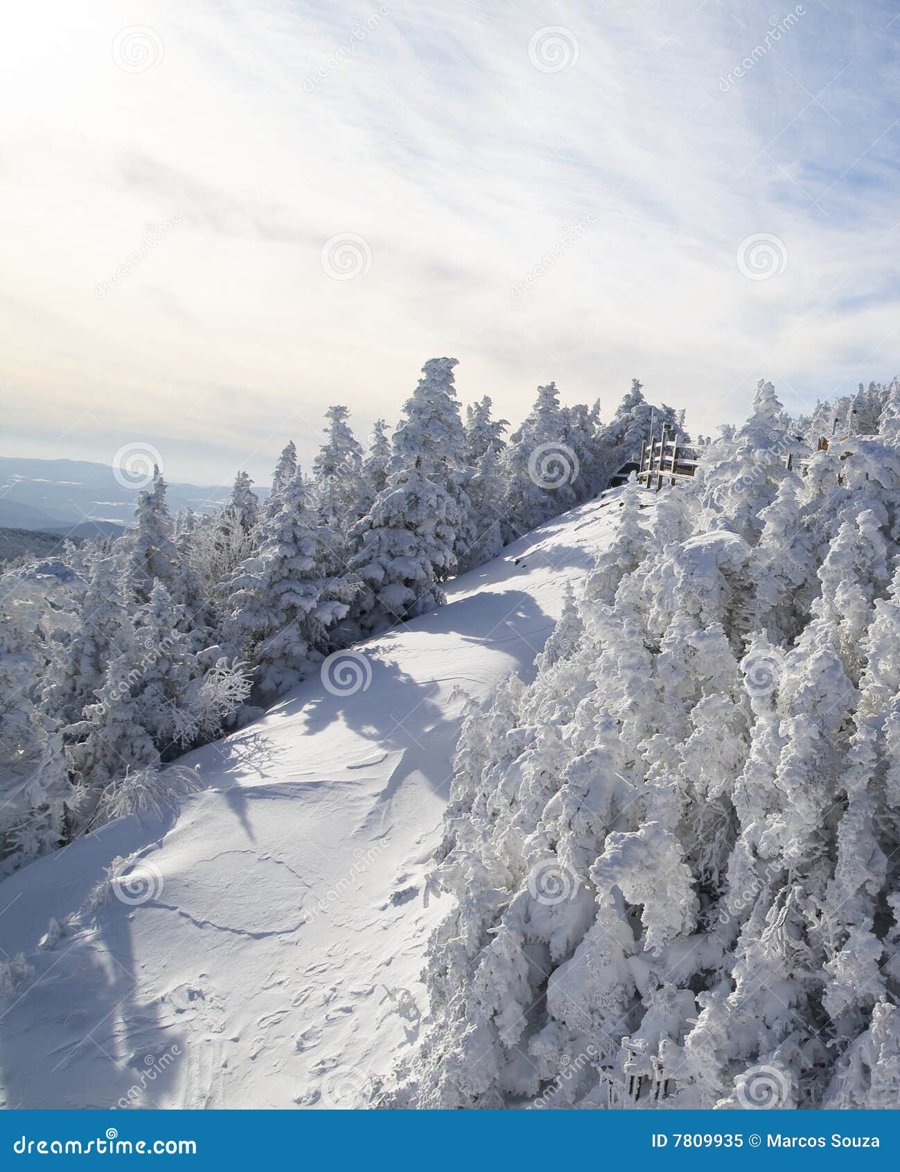 Snow Covered Hill stock image. Image of sports, woods - 7809935