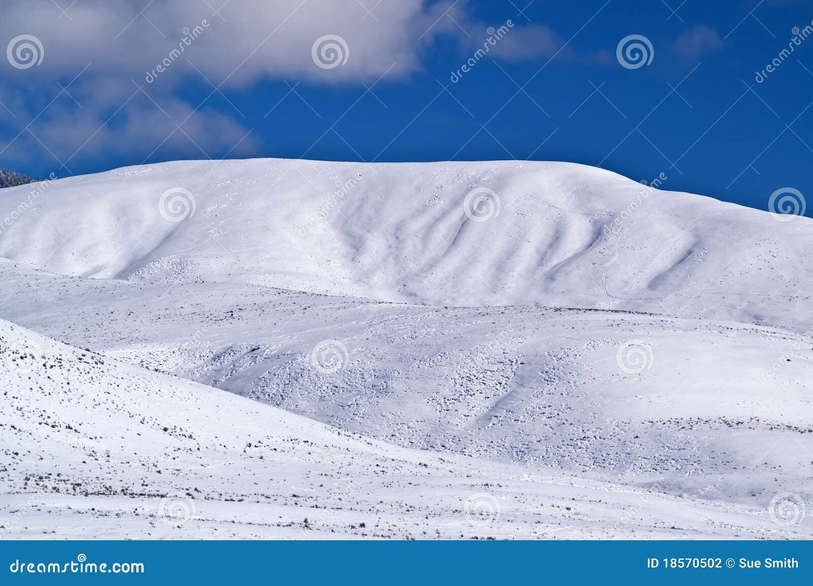 Snow Covered Hills stock photo. Image of national, landscape - 18570502