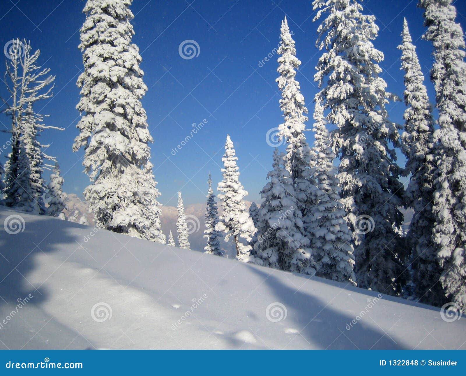Snow Covered Hills & Trees Stock Photo - Image of pristine, freezing ...