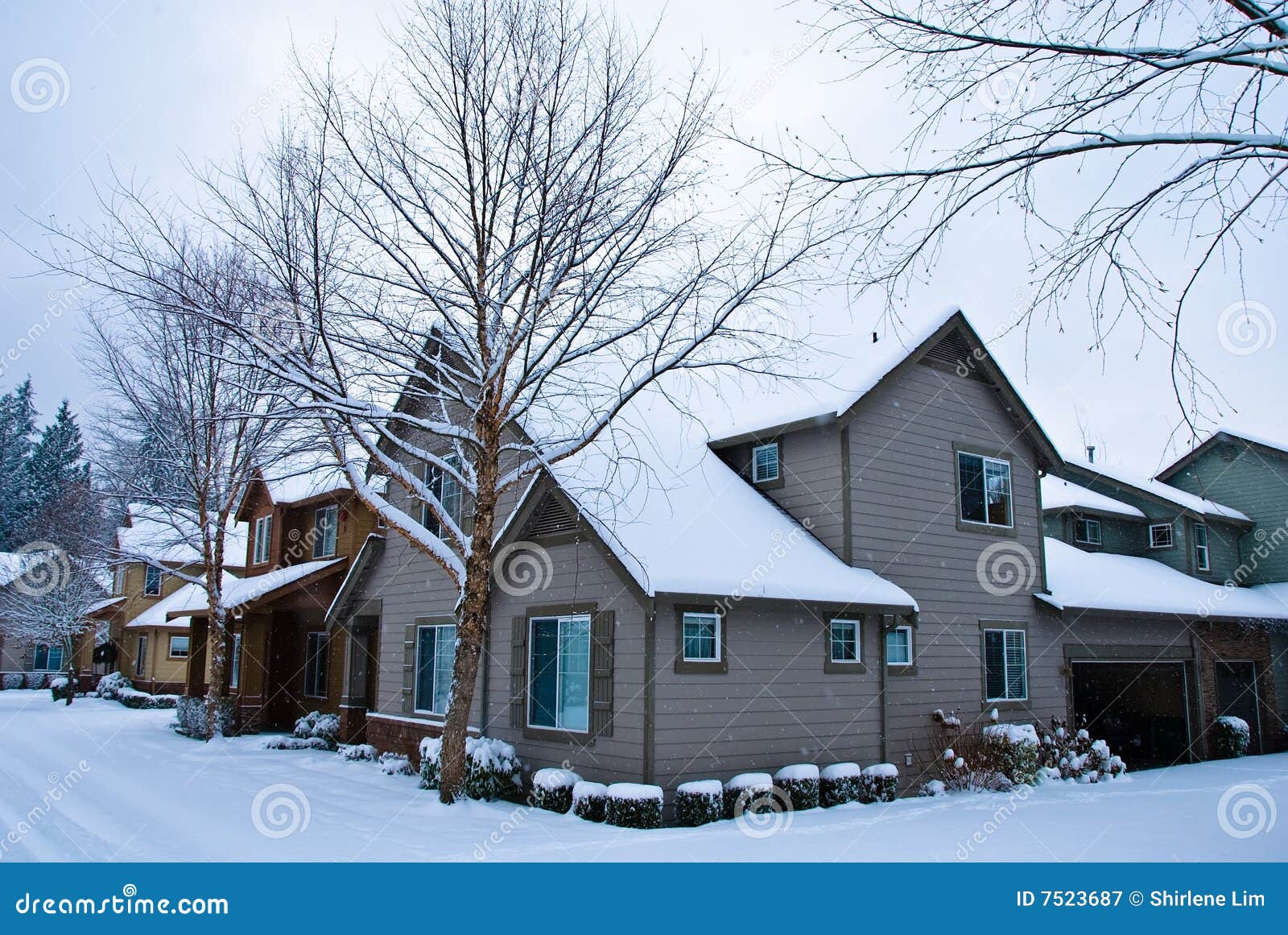 Snow covered Homes stock image. Image of bare, road, green - 7523687