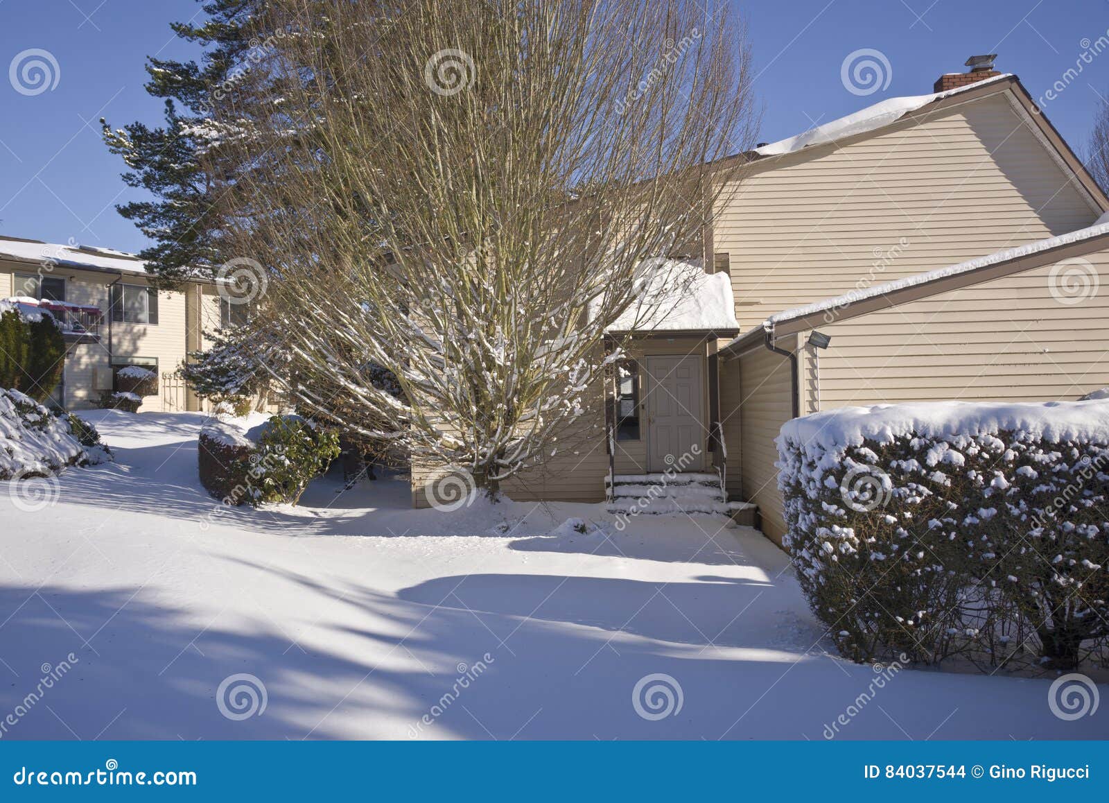 Snow Covered Houses Gresham Oregon. Stock Photo - Image of entrance ...