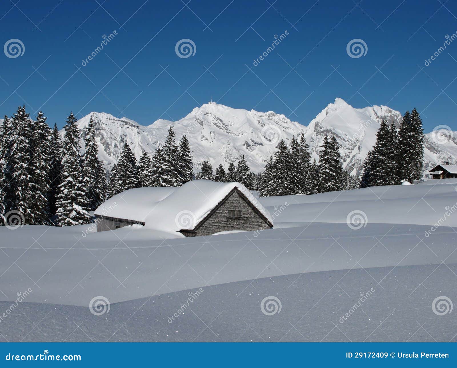 Snow Covered Hut, Trees and Mt Saentis Stock Image - Image of landscape ...