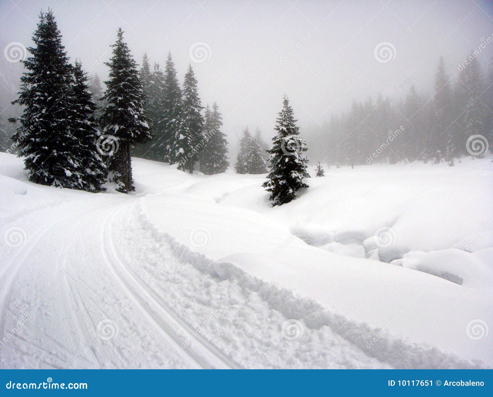 Snow covered landscape stock image. Image of covered - 10117651