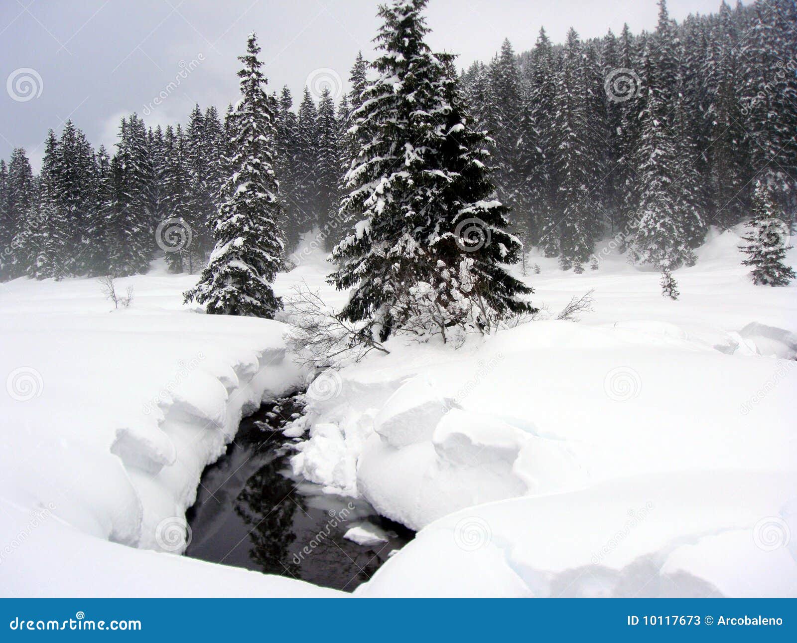 Snow covered landscape stock image. Image of forest, house - 10117673