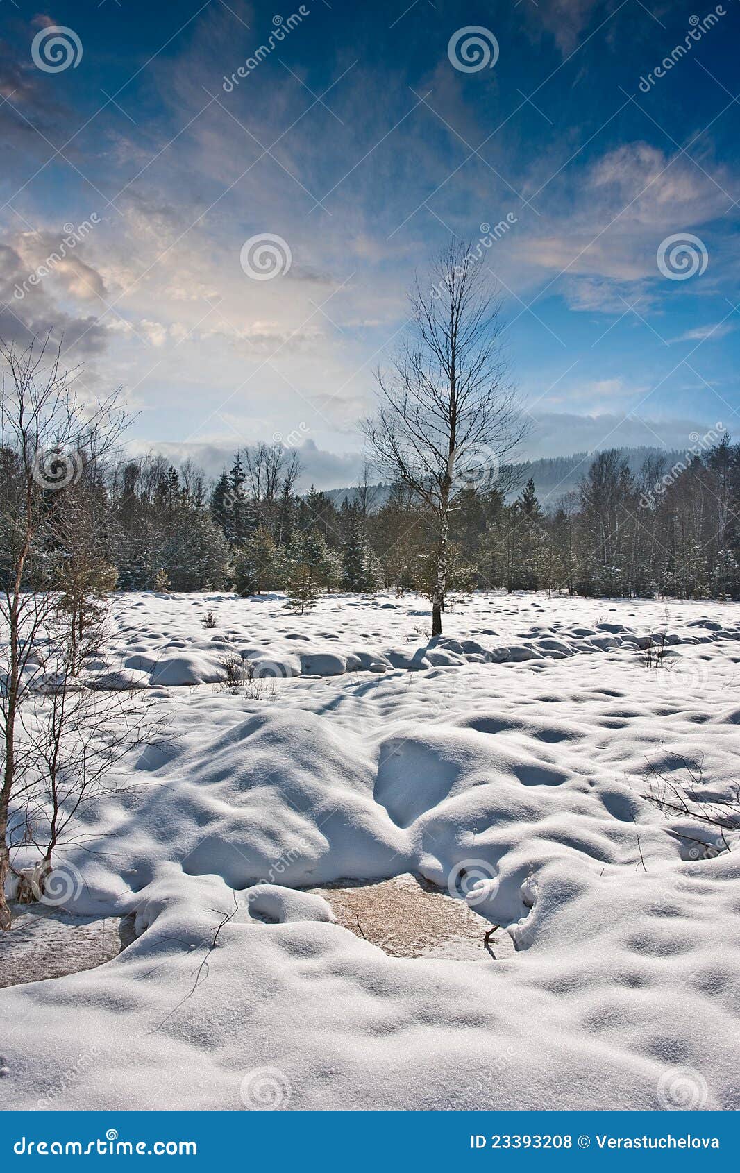 Snow covered landscape stock photo. Image of freeze, morning - 23393208