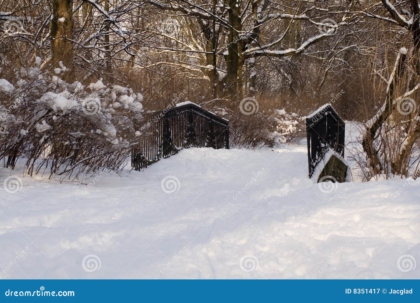 Snow Covered Little Bridge in Winter Park Stock Image - Image of path ...
