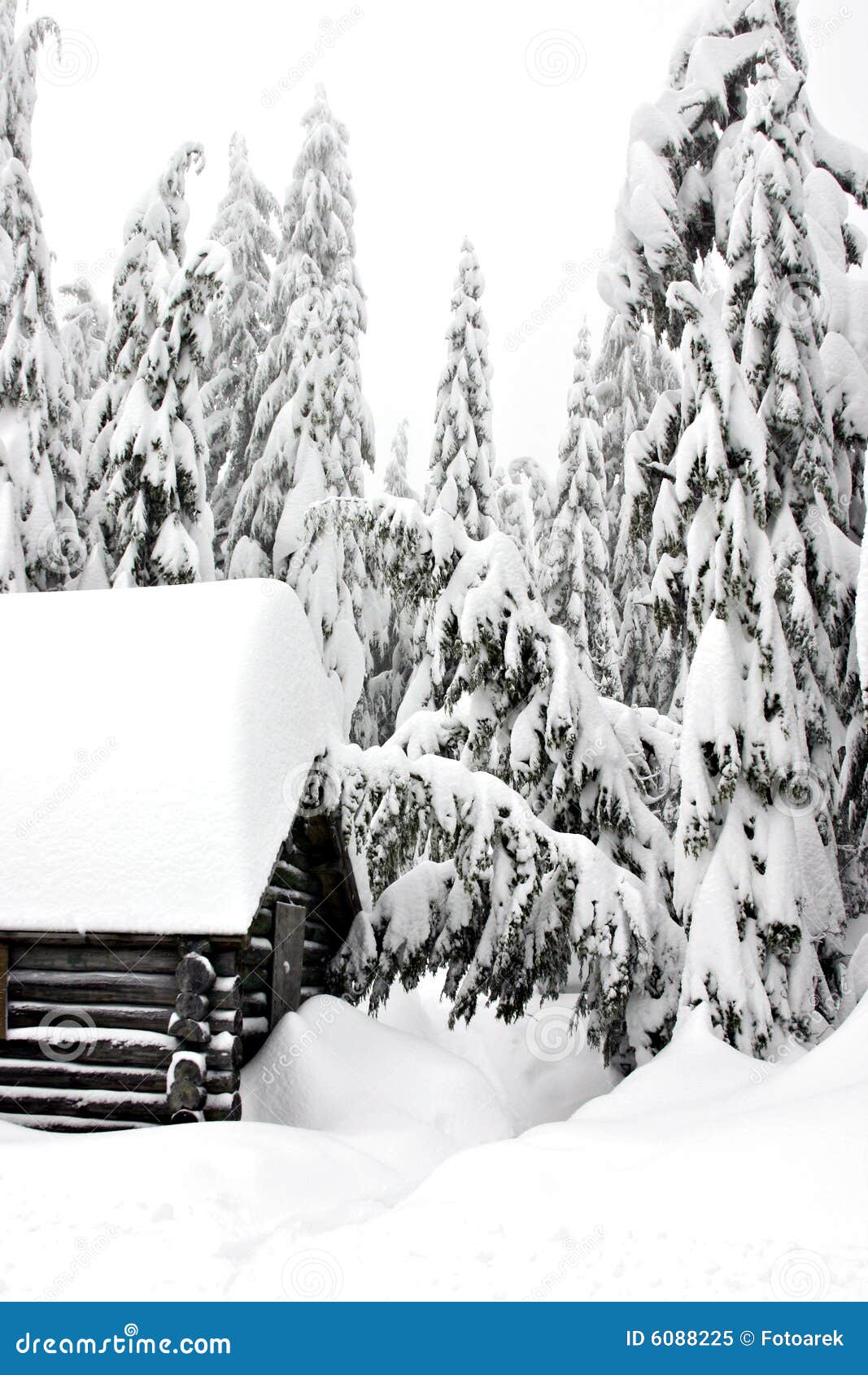 Snow Covered Log Cabin in the Woods Stock Image - Image of rustic ...