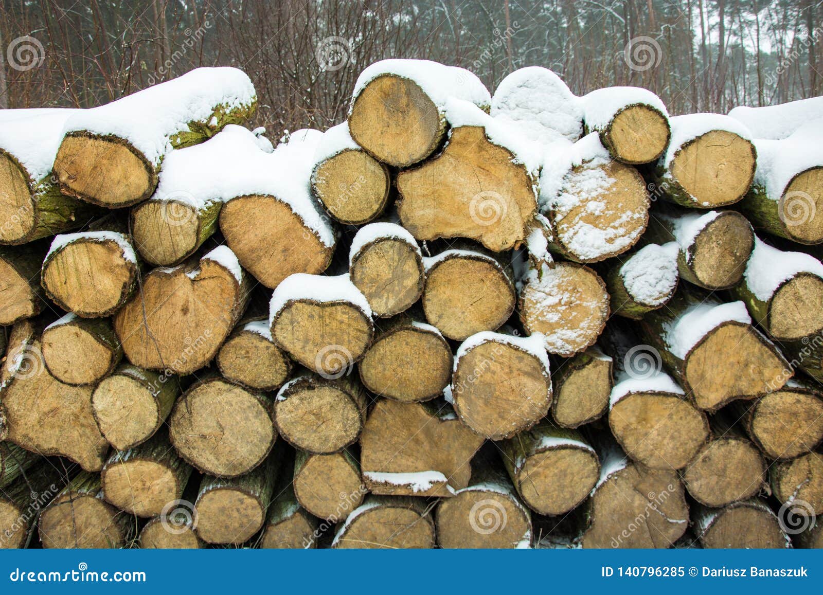 Snow Covered Logs of Trees on a Pile in the Forest Stock Image - Image ...