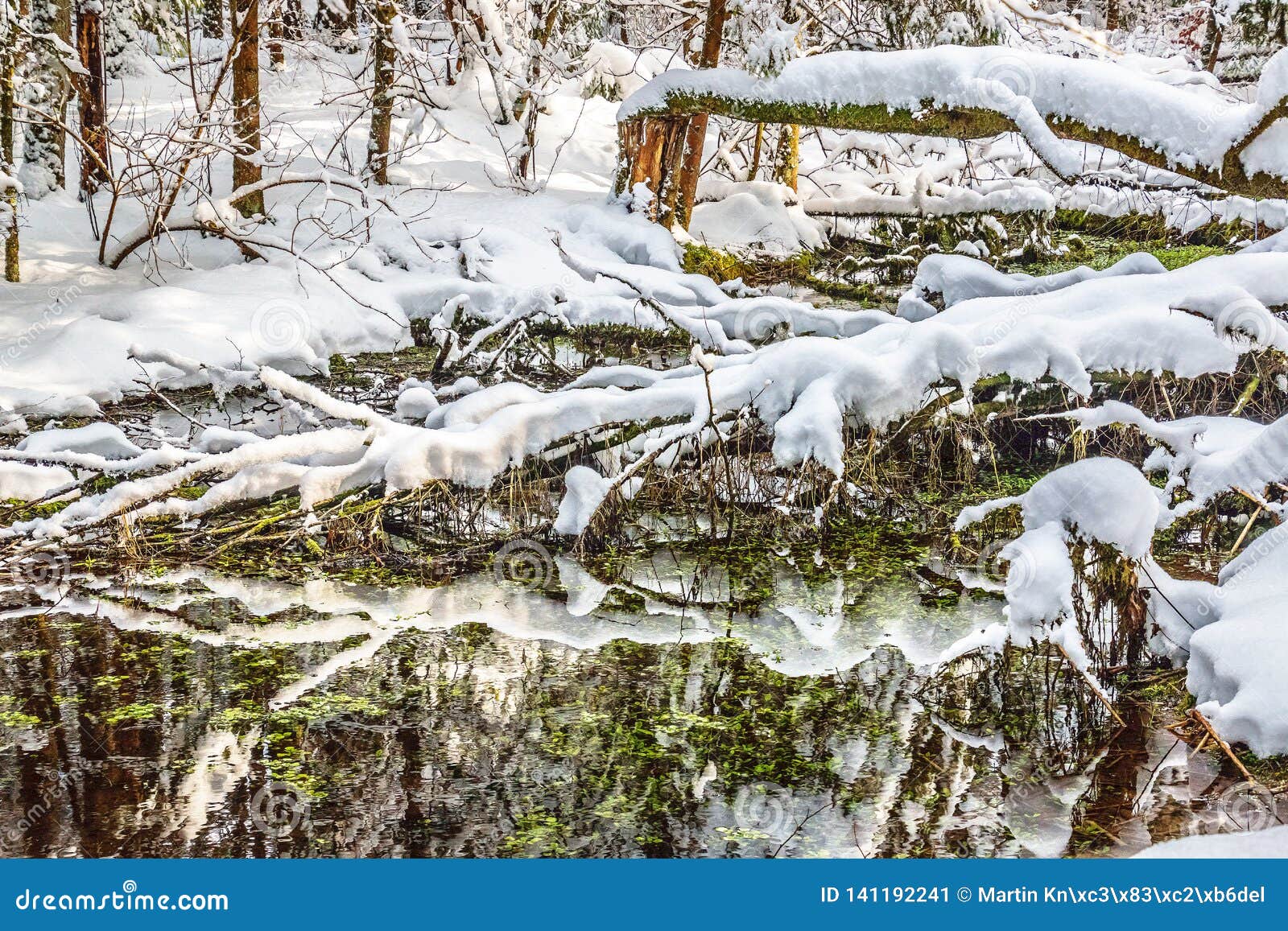 Snow Covered Marsh in Winter Stock Image - Image of water, winter ...