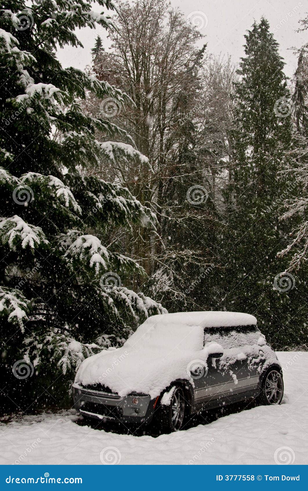 Snow Covered Mini Cooper stock photo. Image of cover, snowing - 3777558