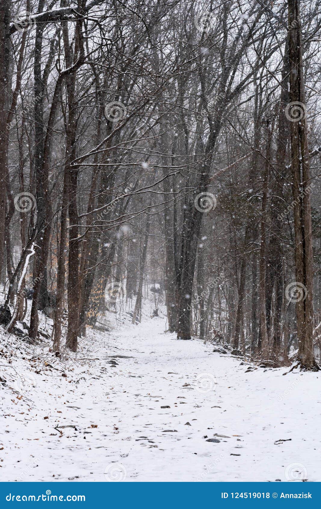 Snow Covered Mountain Hiking Path Stock Photo - Image of outside ...