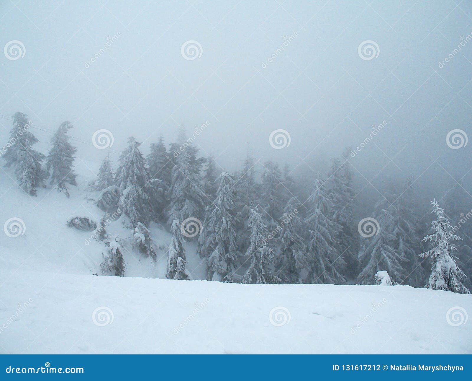 Snow Covered Mountain Hills with Forest in Thick Fog Stock Photo ...