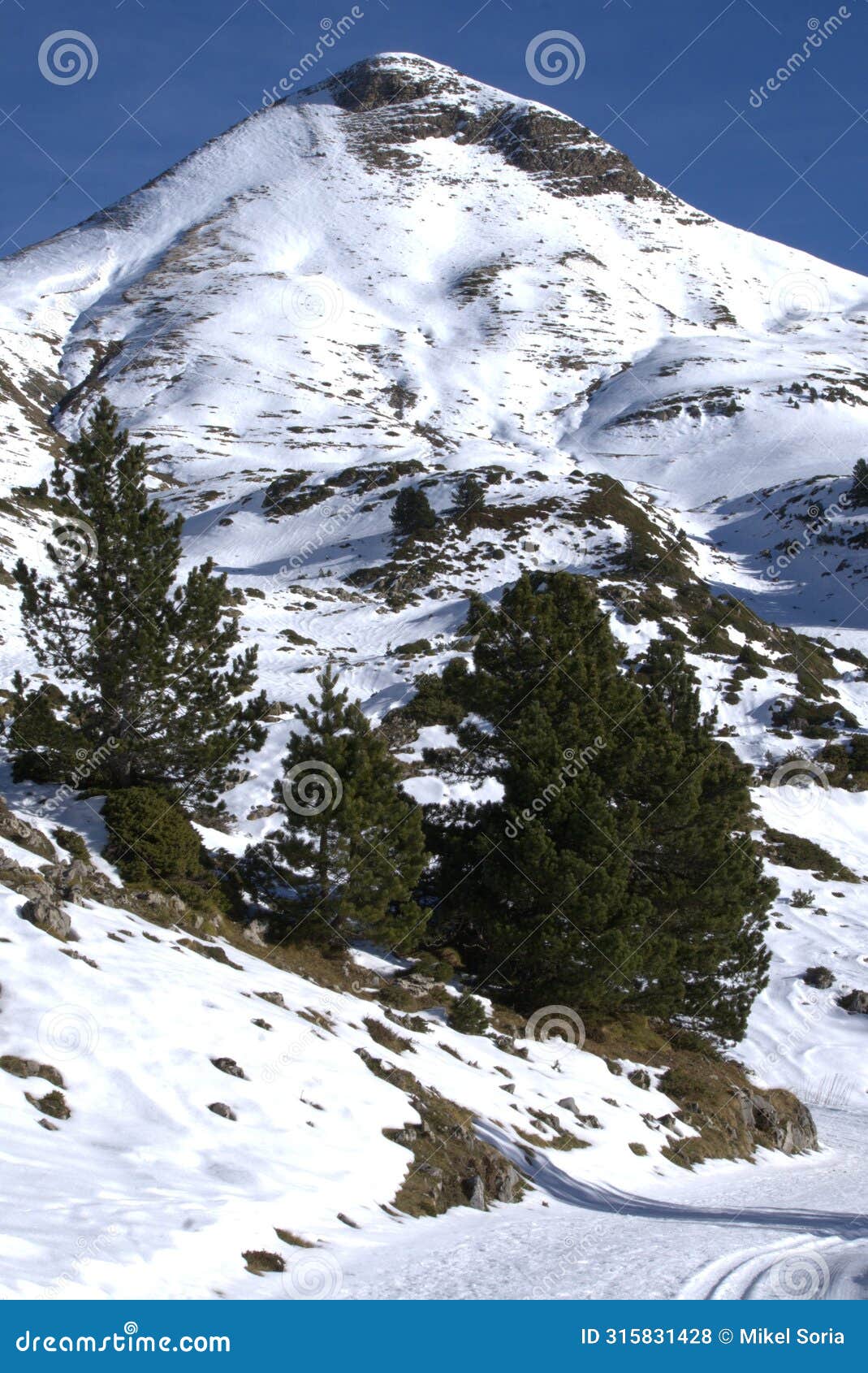 A Snow Covered Mountain with Trees on it. the Scene is Very Peaceful ...