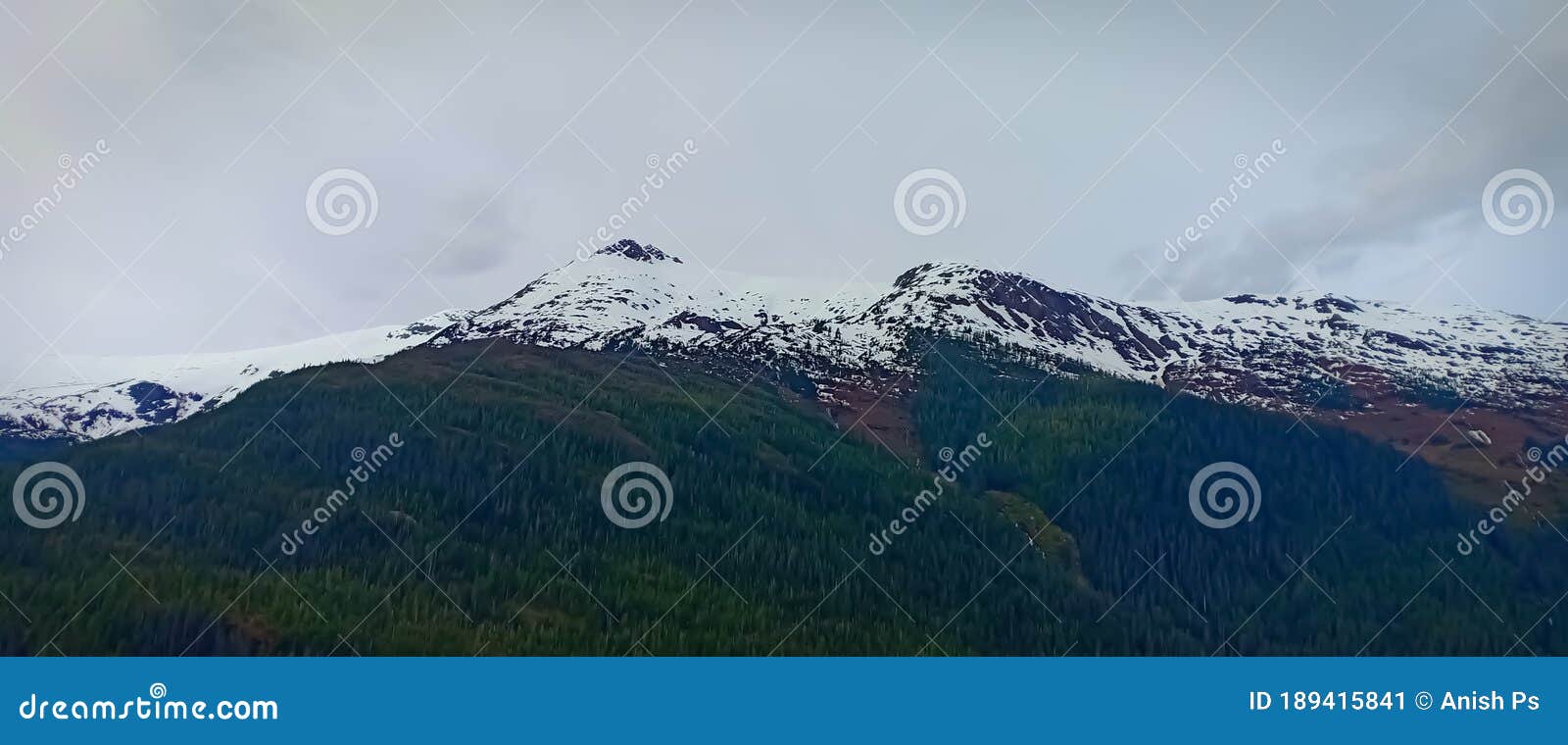 Snow Covered Mountain and Trees in Alaska Stock Image - Image of ...