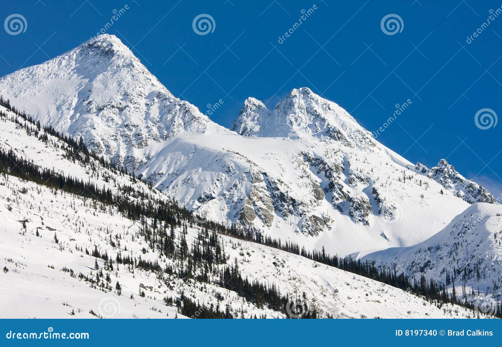 Snow covered mountains stock photo. Image of covered, forest - 8197340