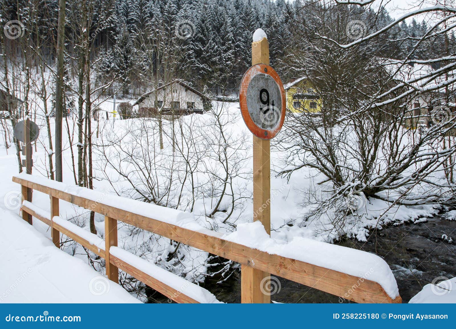 Snow Covered Mountains and Pines on a Heavy Snow Day in Austria Stock ...