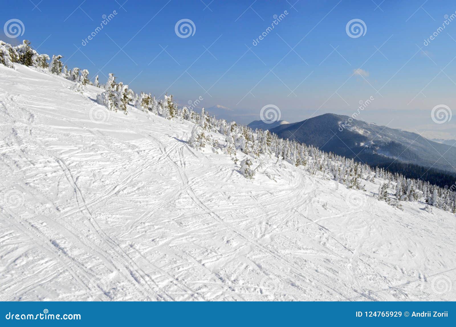 Snow-covered Mountainside with Trees Growing on it. Ski Area Stock ...