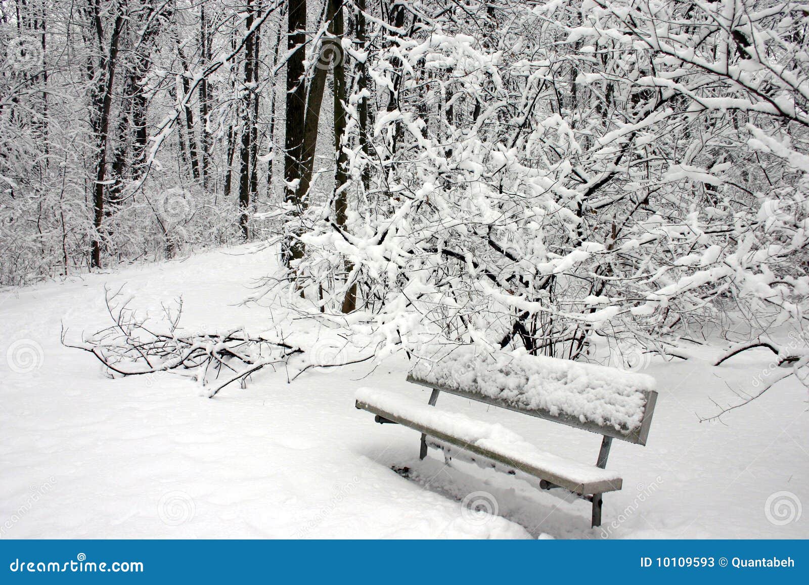 A snow covered park bench stock image. Image of peaceful - 10109593