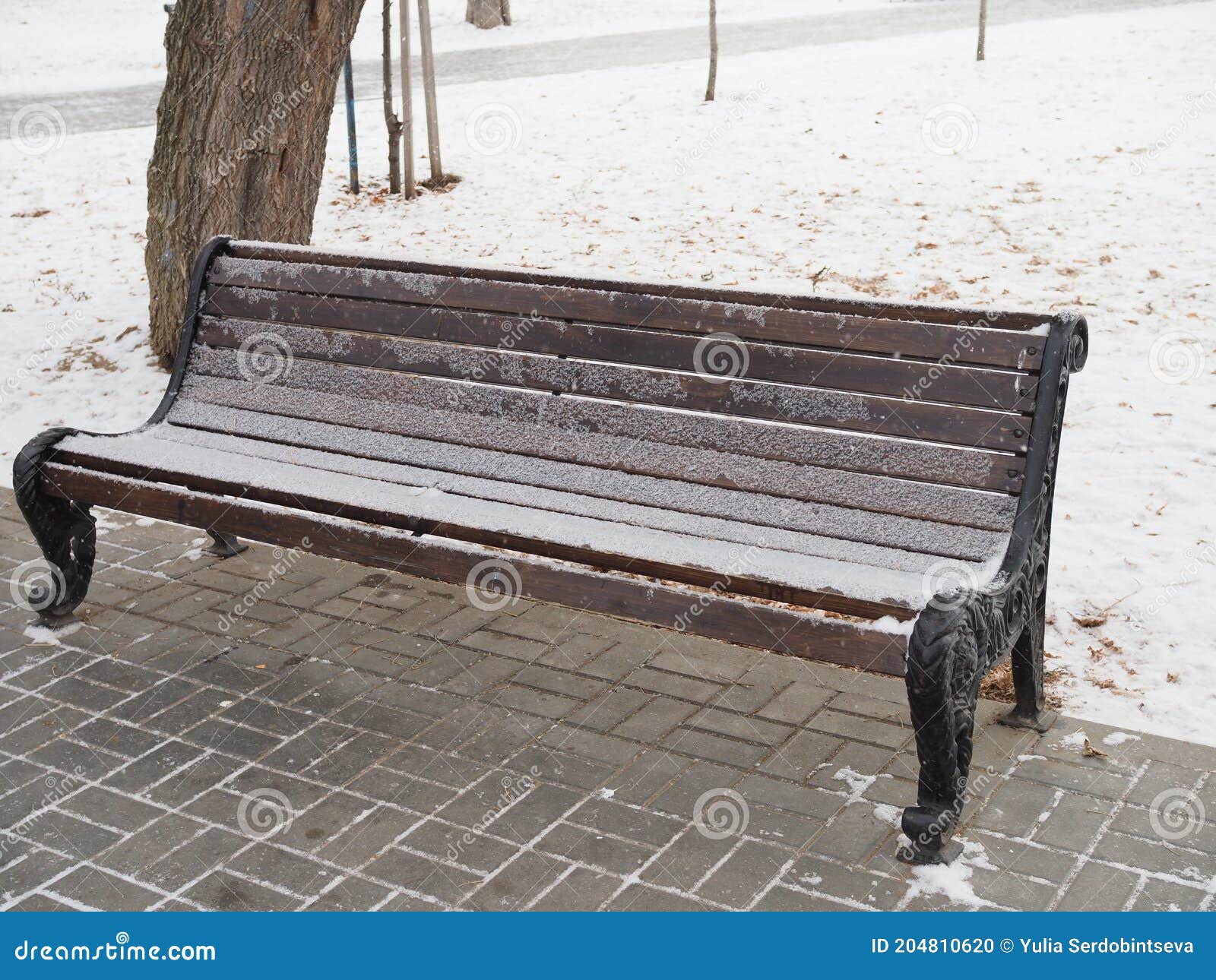 Snow Covered Park Bench with First Snow Stock Photo - Image of snowfall ...