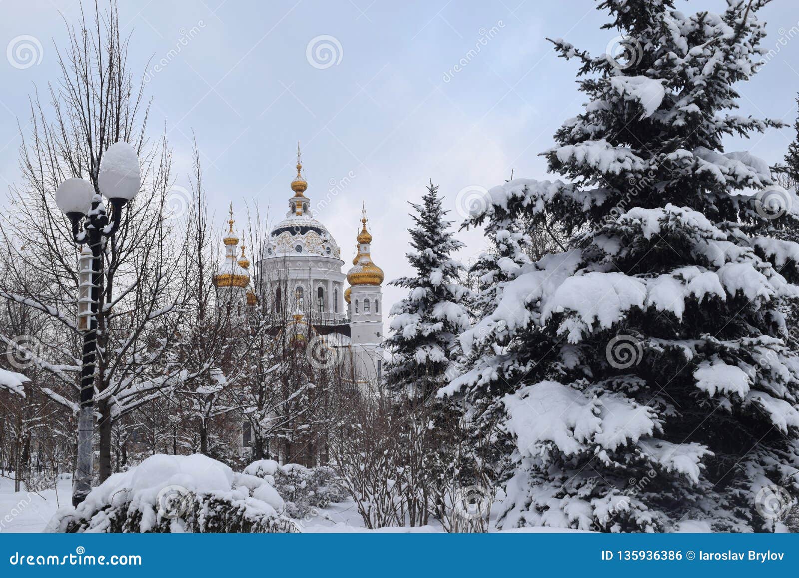 Snow Covered Park Christmas Trees Trees Falling Snow Stock Photo ...