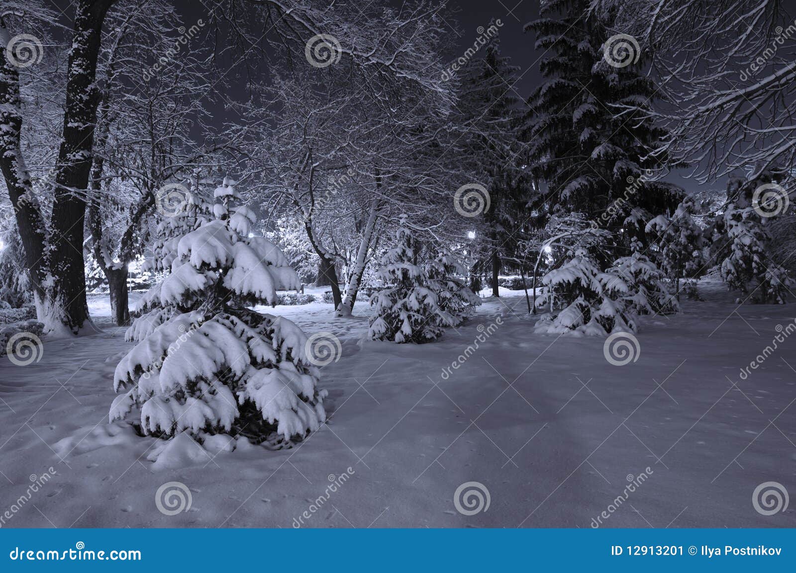 Snow covered park at night stock image. Image of wintry - 12913201