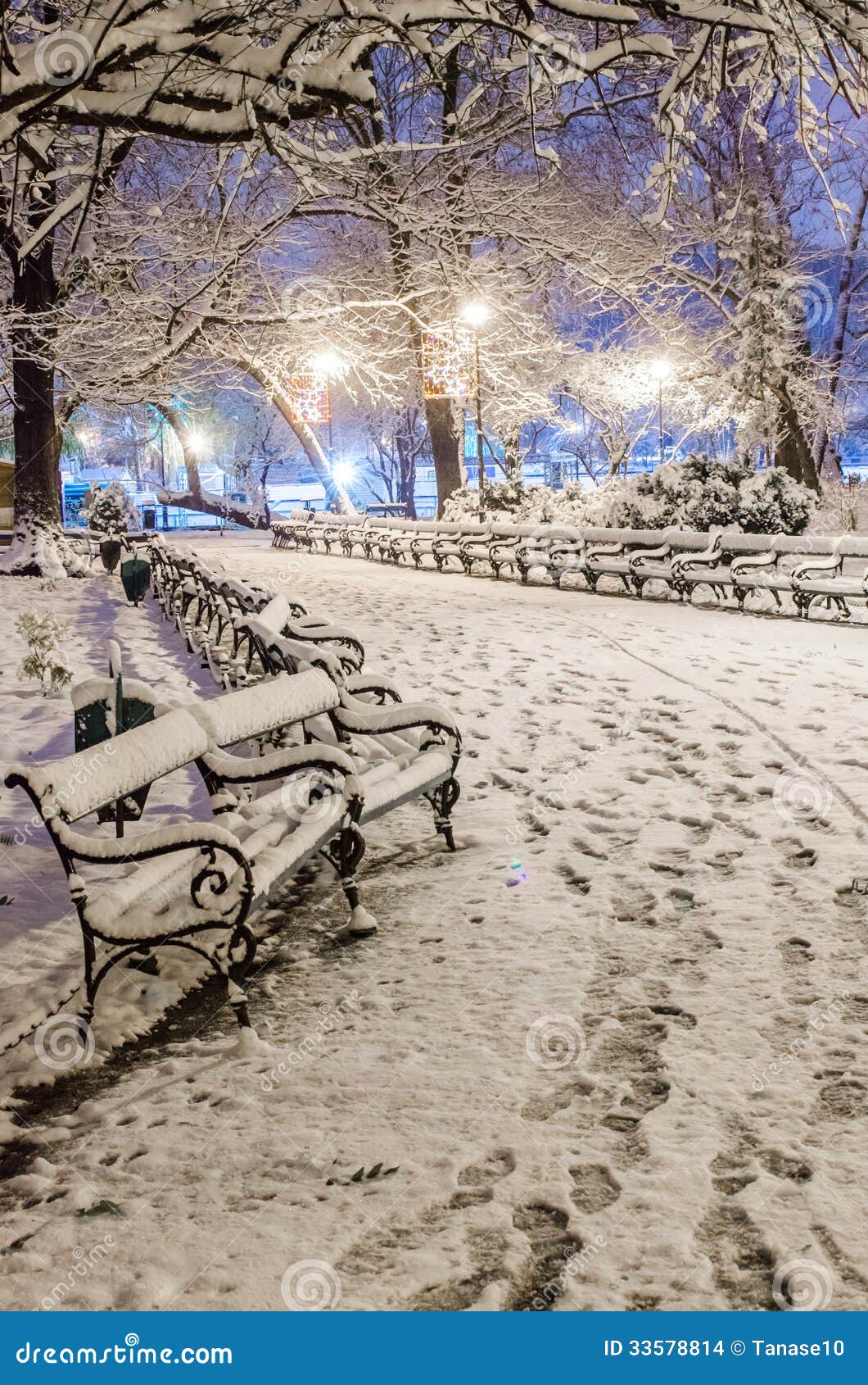Snow covered park at night stock photo. Image of lights - 33578814
